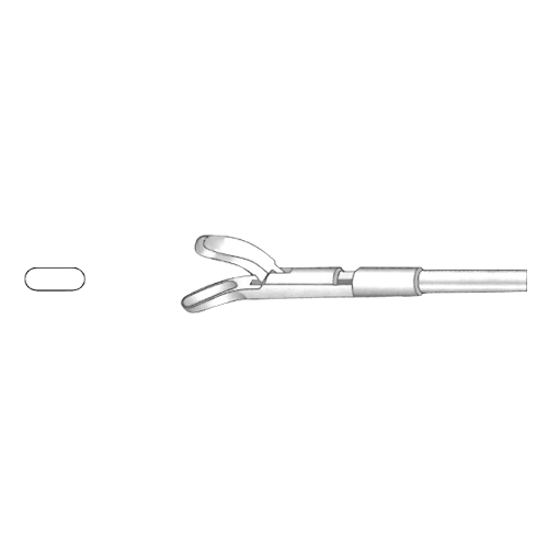 Rectal Biopsy Specimen Forcep - Curved Fenestrated Jaw – jenseninstruments