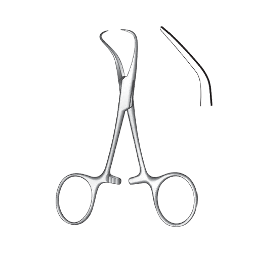 Backhaus Towel Forcep – jenseninstruments