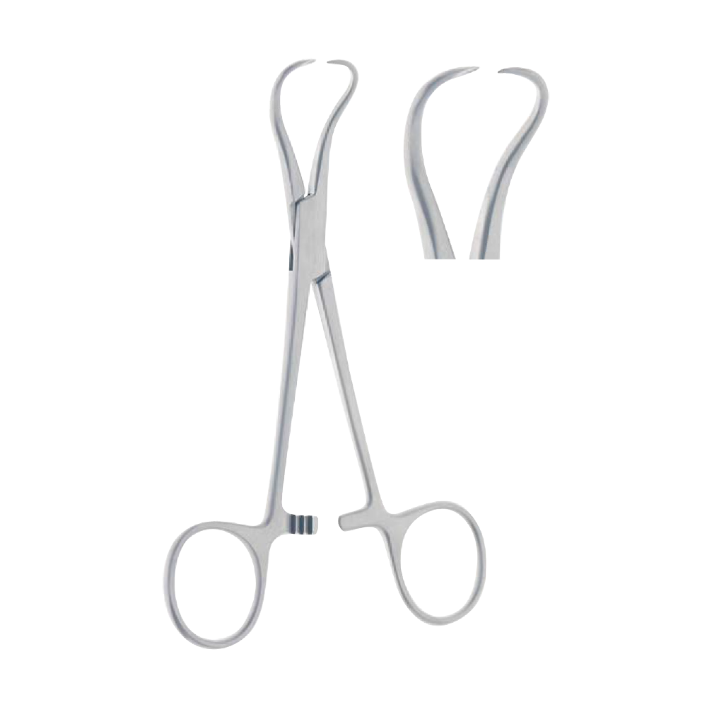 Backhaus Towel Forcep – jenseninstruments
