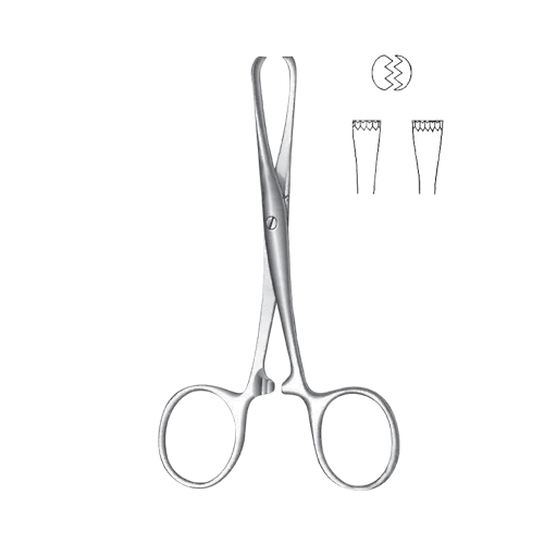 Tuffier Tissue Forcep 13 cm / 5-1/8" – jenseninstruments