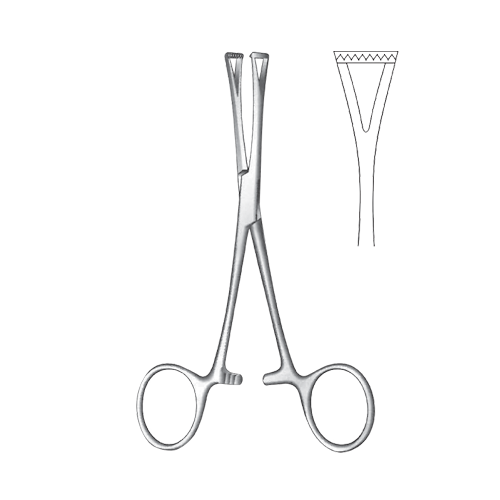 Collin Tissue Forcep 14 cm / 5-1/2" – jenseninstruments