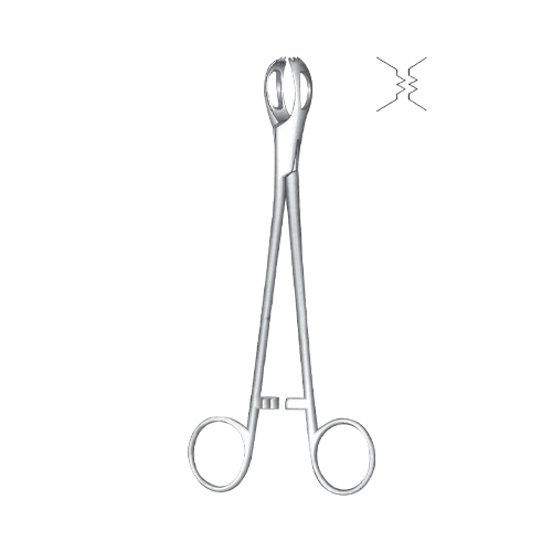 Lane Tissue Forcep - 2:3 Teeth – jenseninstruments