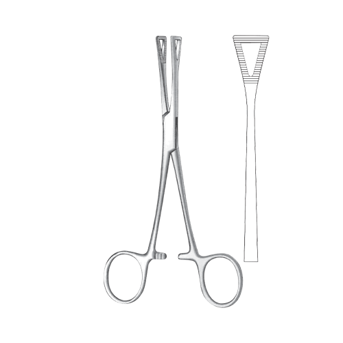 Pennington Tissue Forcep – jenseninstruments