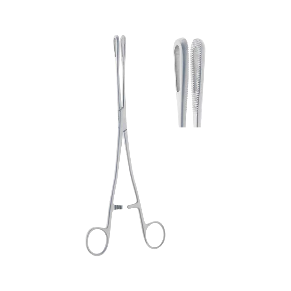 Rampley Sponge Forcep – jenseninstruments