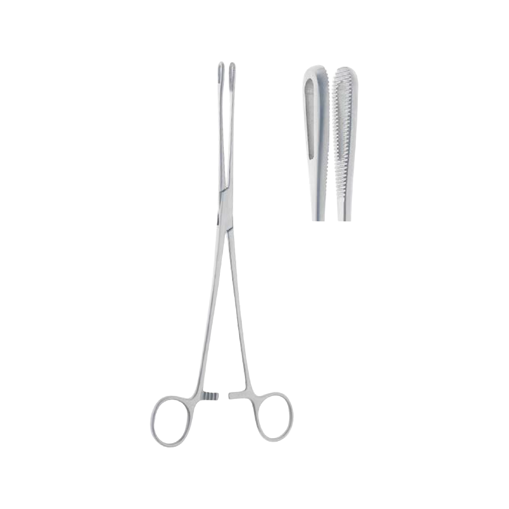 Bonney Sponge Forcep – jenseninstruments