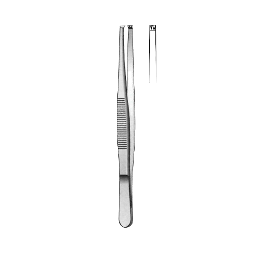 Standard Tissue Forcep - 2:3 Teeth – jenseninstruments