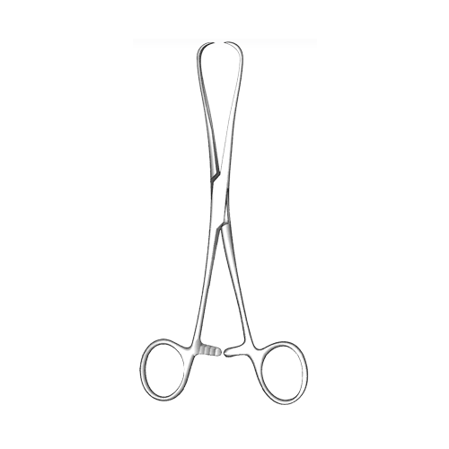 Staude-Moore Tenaculum Forcep 17 cm / 6-3/4" – jenseninstruments