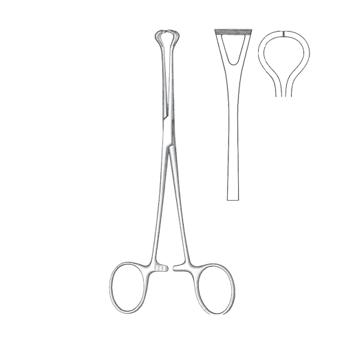 Babcock Tissue and Organ Holding Forcep - Straight – jenseninstruments