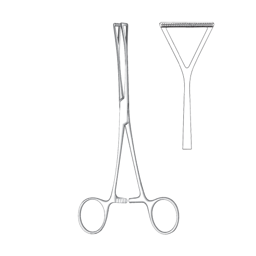 Duval Tissue and Holding Forcep - 25 mm – jenseninstruments