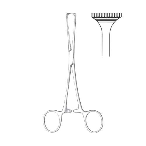 Allis-Adair Tissue and Holding Forcep 15 cm / 6" – jenseninstruments
