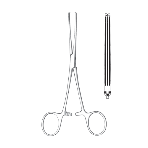 Allen Intestinal Clamp Forcep – jenseninstruments