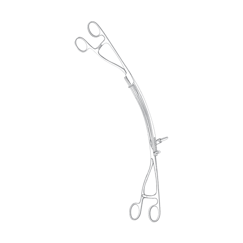 Stomach Clamp Forcep – jenseninstruments