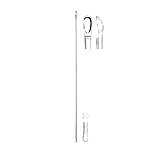 Moynihan Gall Duct Dilator 34 cm / 13-1/2" – jenseninstruments