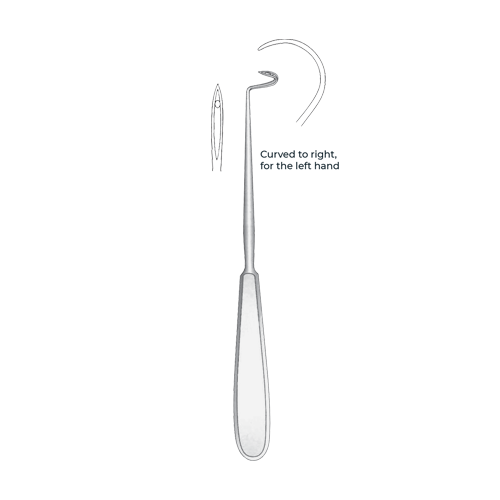 Deschamps Suture Needle 20 cm / 8" - Sharp – jenseninstruments