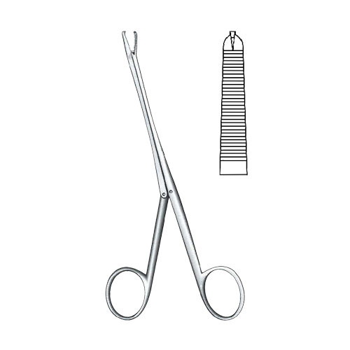 Brand Tendon Seizing Forcep – jenseninstruments