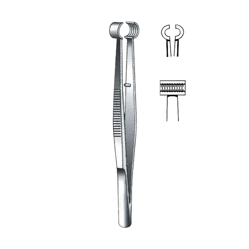 Tendon Seizing Forcep 10 cm / 4" – jenseninstruments