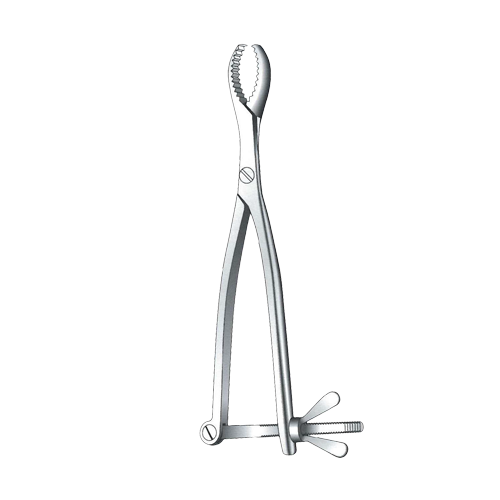 Hey Groves Bone Holding Forcep 21 cm / 8-1/4" - 6.5 mm – jenseninstruments