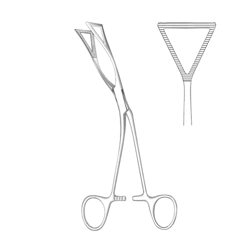 Lovelace Lung Grasping Forcep 20 cm / 8" – jenseninstruments