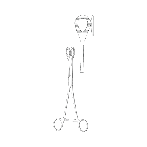 Heywood-Smith Rectal Biopsy Forcep – jenseninstruments