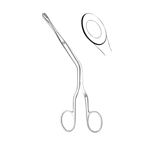 Luc Polypus And Septum Forcep 20 cm / 8" - Fenestrated Cup ...